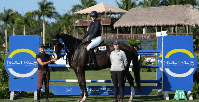 Noltrex®Vet I Synthetic Joint Lubricant for horses