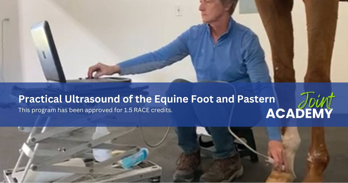 Practical Ultrasound of the Equine Foot and Pastern - NOLTREX Vet